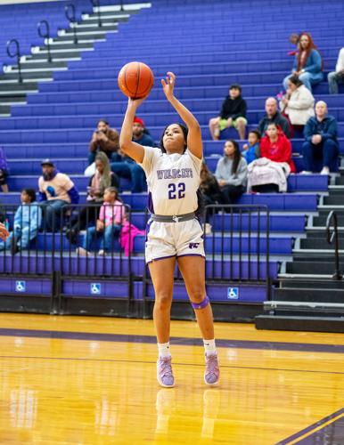 Angleton’s Barnes earns 1st-team all-district | Sports | thefacts.com
