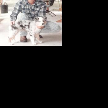 Robert (Bob) James Fulbright | Obituaries | thefacts.com