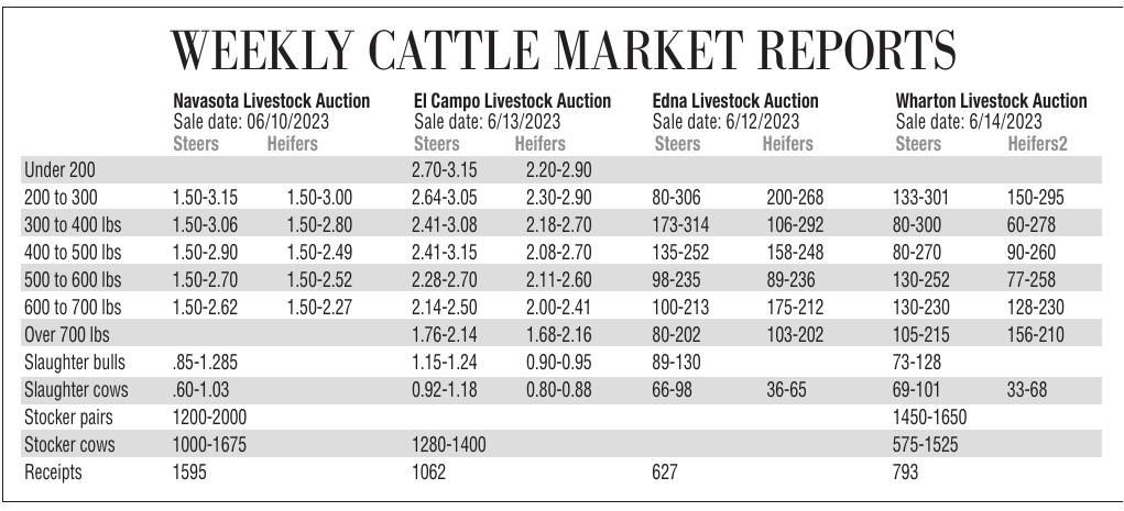 Cattle Chart for June 16, 2023 | Community | thefacts.com