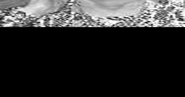 Catherine Belle Kline | | thefacts.com