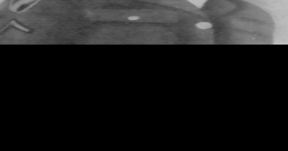 Allan Andrade book talk press release | News | thefacts.com