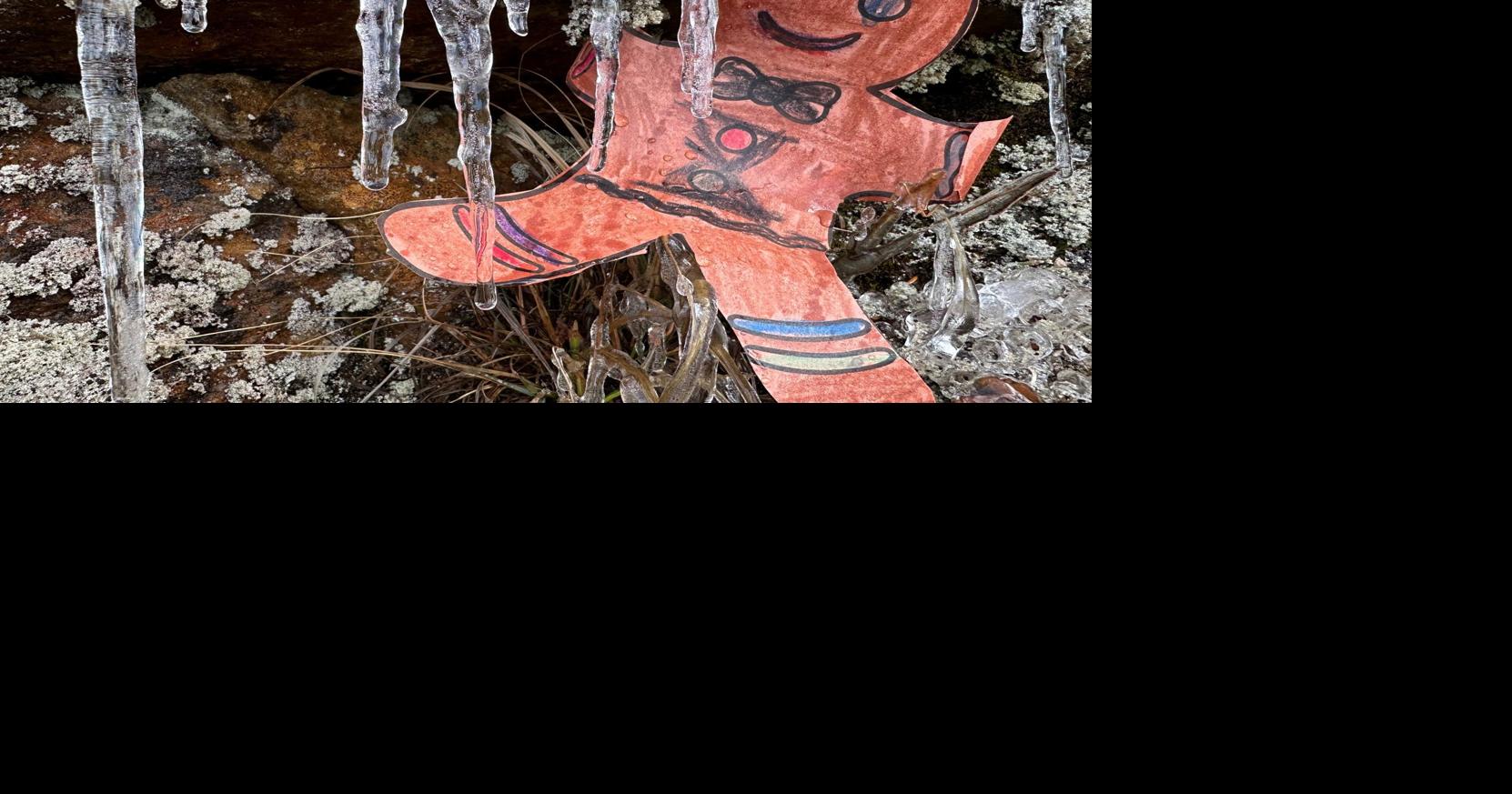 World-traveling gingerbread man teaches children geography | News ...