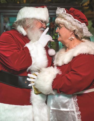 15 THINGS ABOUT SANTA & MRS. CLAUS | | thefacts.com