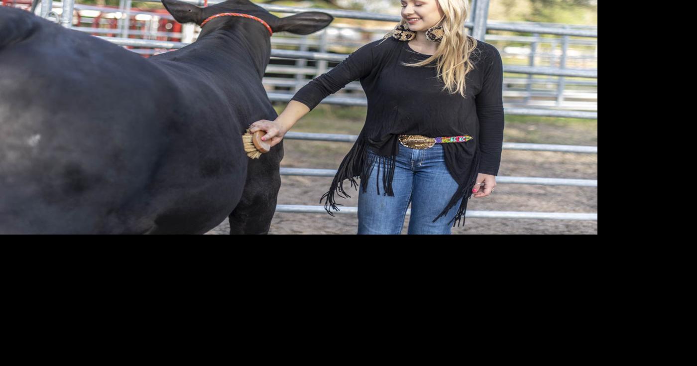 Sweeny siblings hope for a chance at friendly competition | News ...