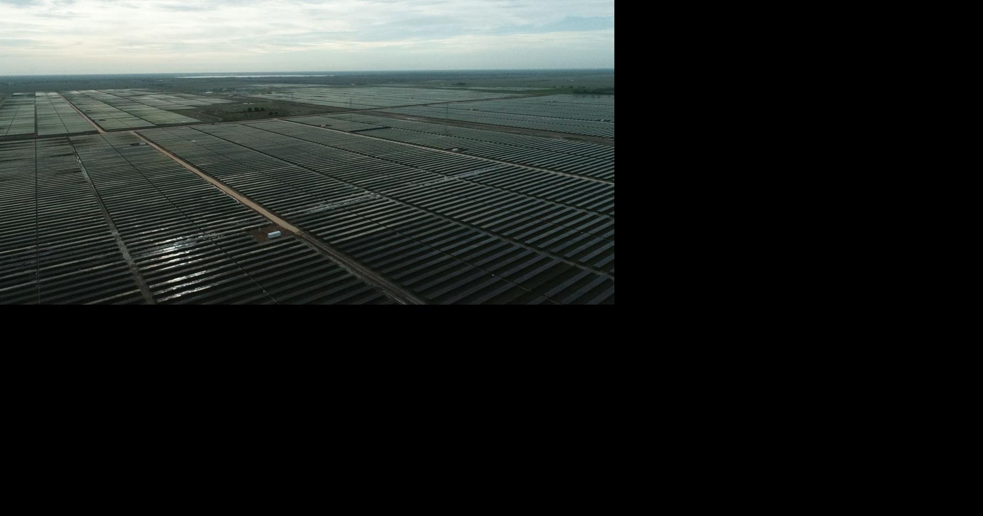 Solar energy expands in Brazoria County | Gulf Coast Giants | thefacts.com