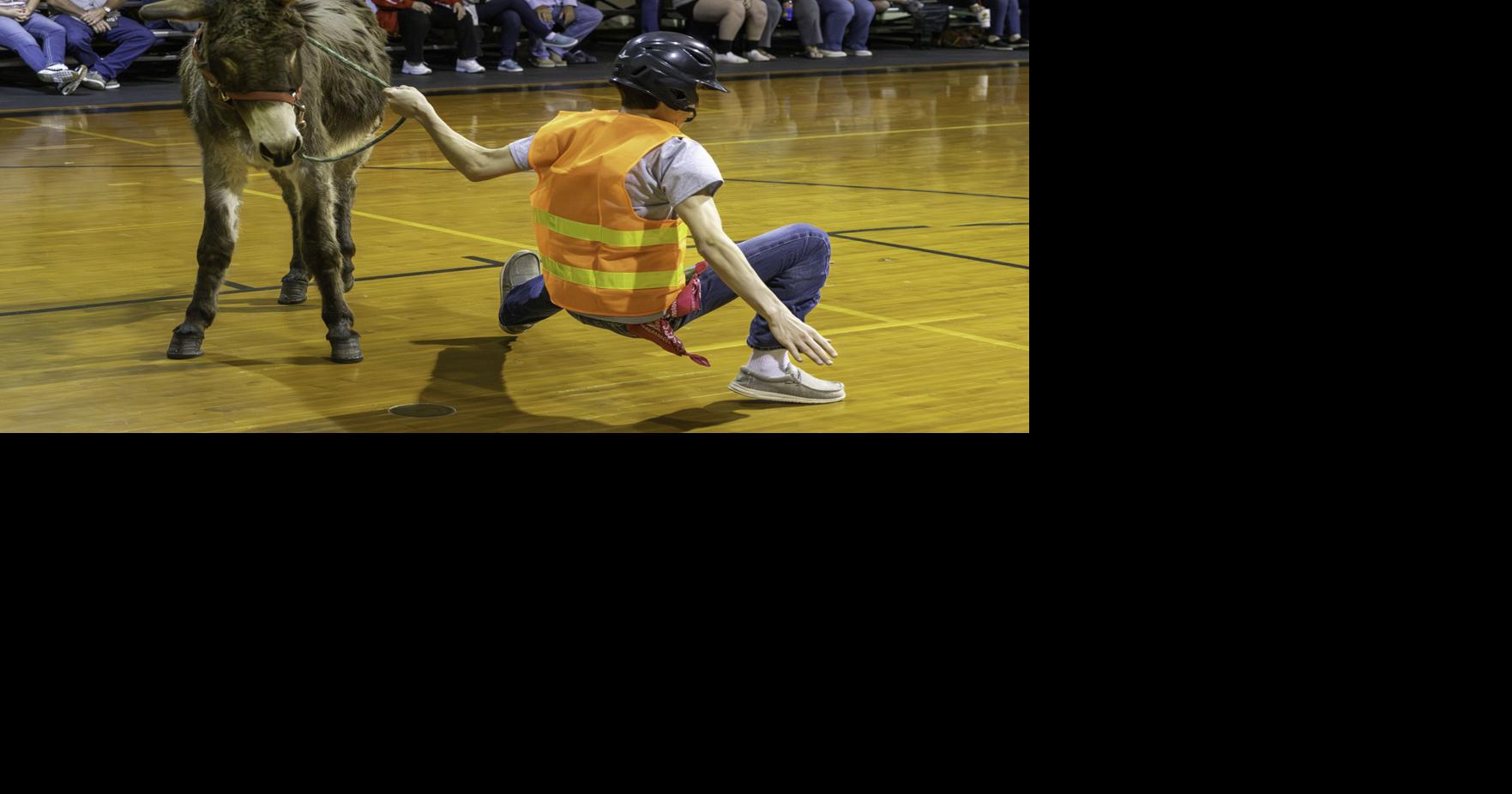 Donkeys take to the basketball court | News | thefacts.com