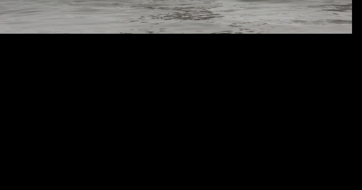 COMMENTARY: Why I plan to take the plunge | Opinion | thefacts.com