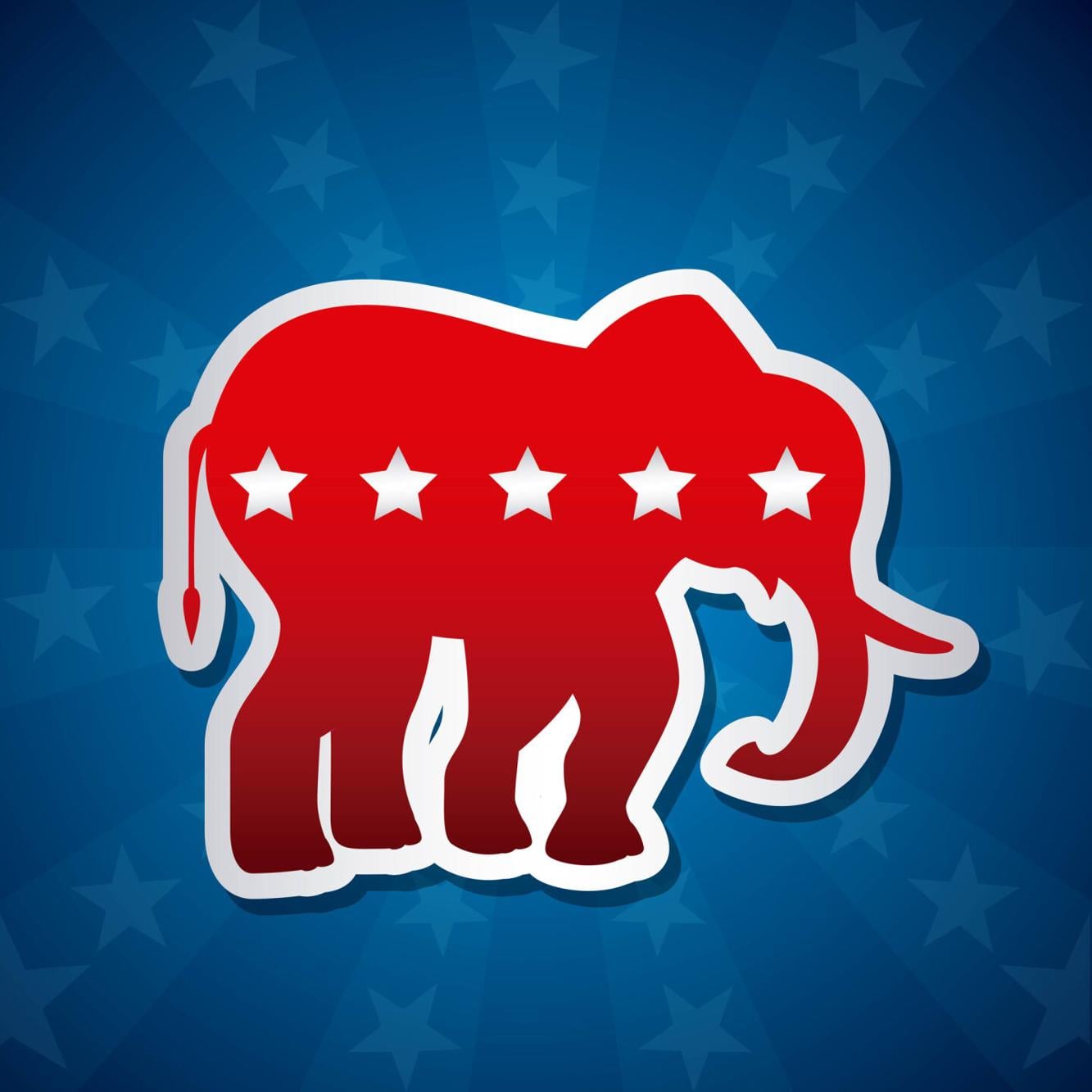 Chesser, Fox square off for JP 4-2 nomination | Election | thefacts.com