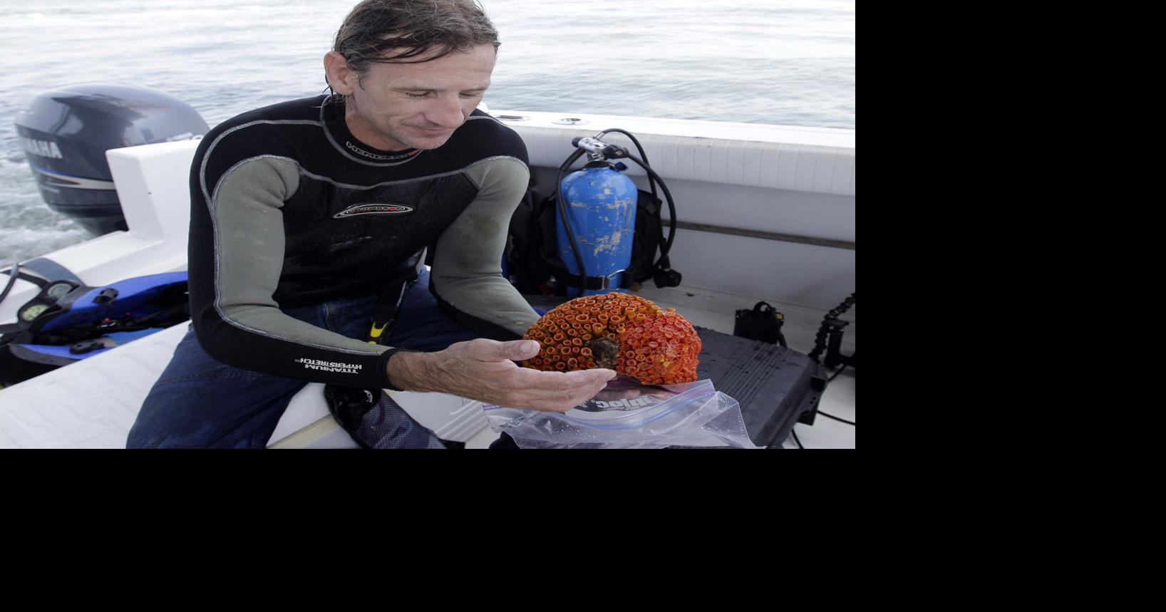 PAUL GEISLER: Old souvenir points to deep-sea mysteries | Opinion ...