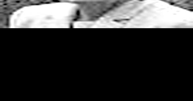 Ruth Harris Neely | Obituaries | thefacts.com