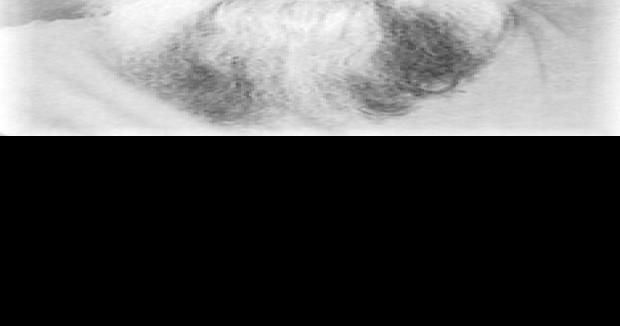 Robert Dale “Bobby” Siler | Obituaries | thefacts.com