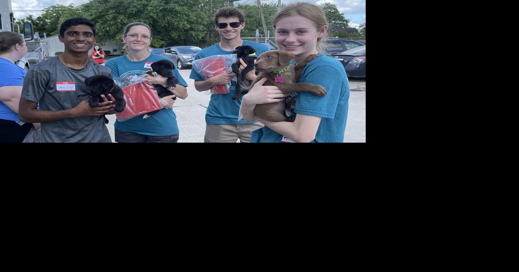 Three Little Pitties hopes to save even more animals’ lives | Brazos ...