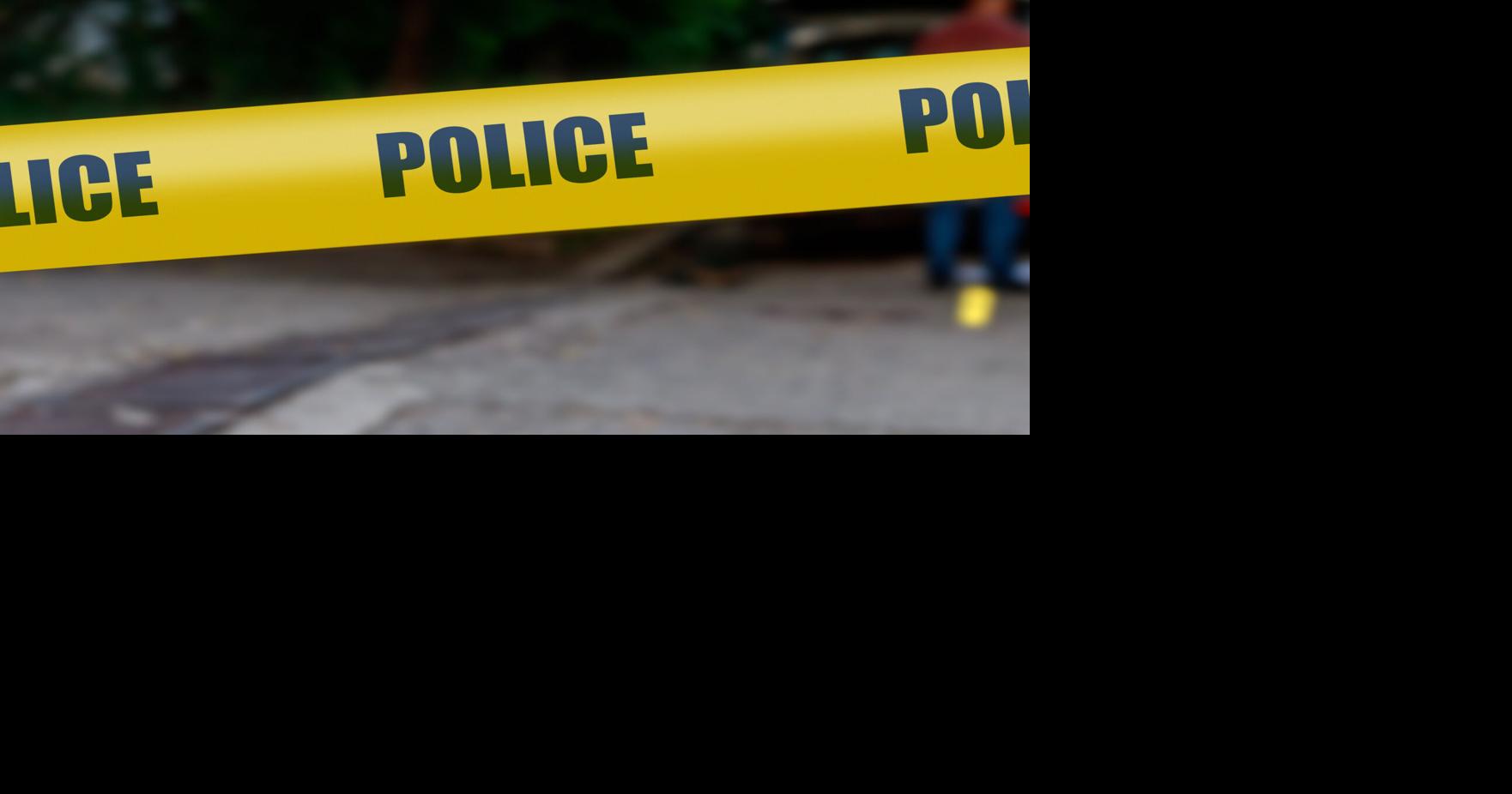 POLICE BEAT: BCSO investigates lion sighting near Sweeny | News ...