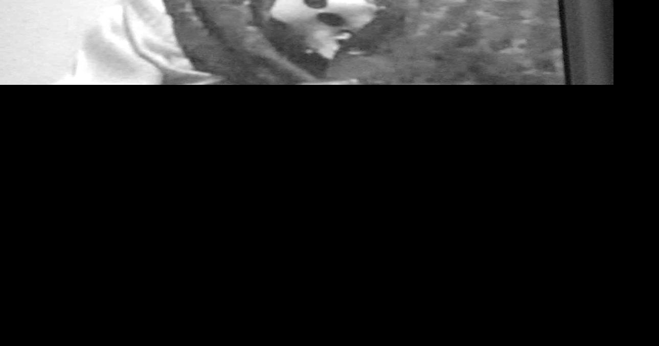 Larry Donell Perry | Obituaries | thefacts.com