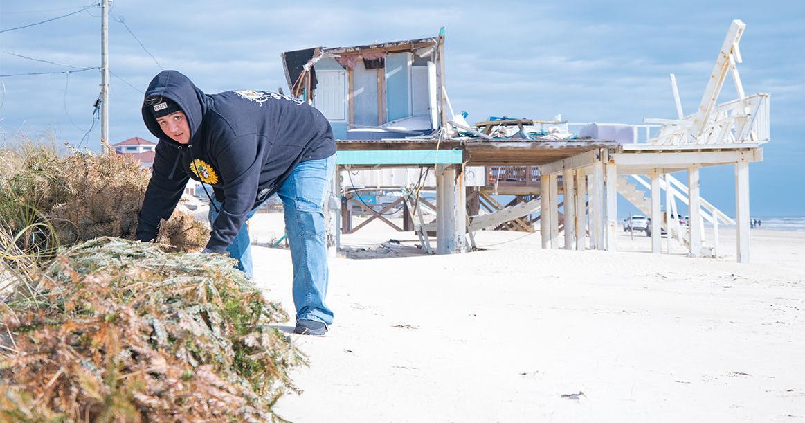 PHOTO GALLERY: Dunes Day makes use of old Christmas trees to rebuild ...