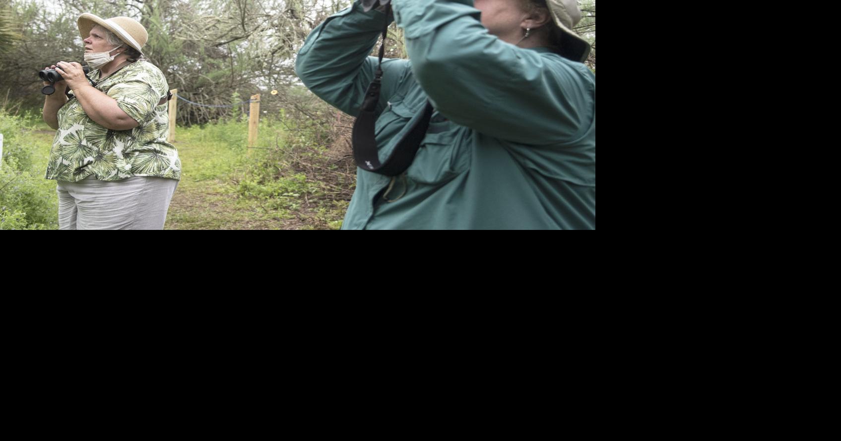 Spring Fling offers chance to see rare birds | News | thefacts.com