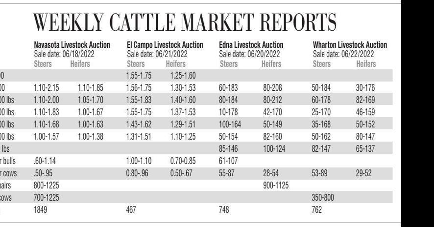 Cattle Chart for June 25, 2022 | News | thefacts.com