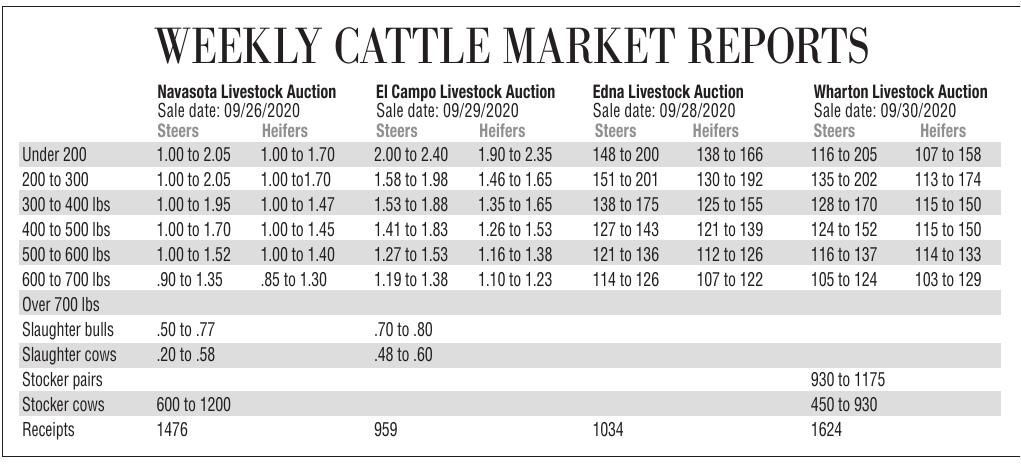 Cattle Chart for Oct. 3, 2020 | News | thefacts.com