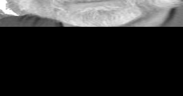 Kenneth Eugene Burnside | Obituaries | thefacts.com