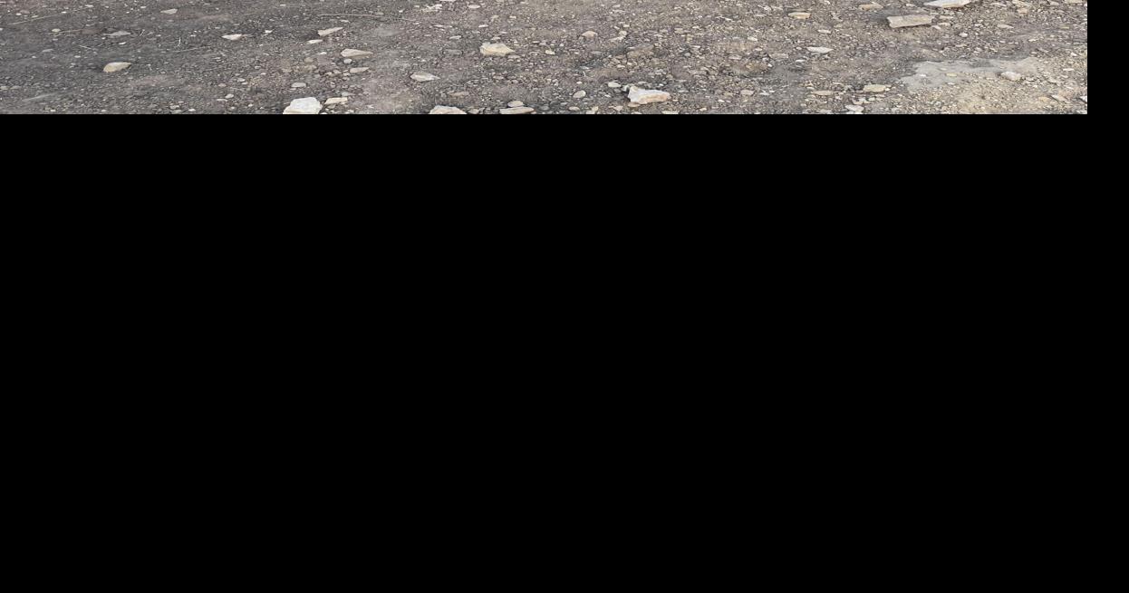 OUTDOORS COLUMN: Duck hunting offers variety, uniqueness | Sports ...