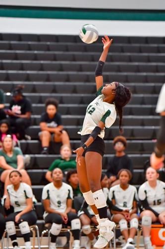 THE FACTS' ALL-COUNTY VOLLEYBALL: Seniors end volleyball careers on top ...
