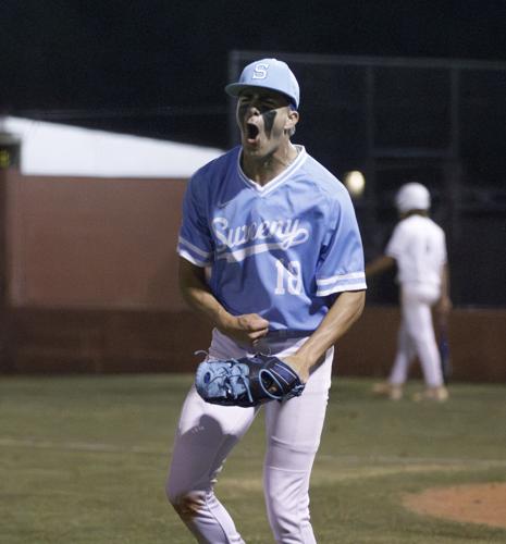 Opportunistic ’Dogs sweep Columbia | Sports | thefacts.com