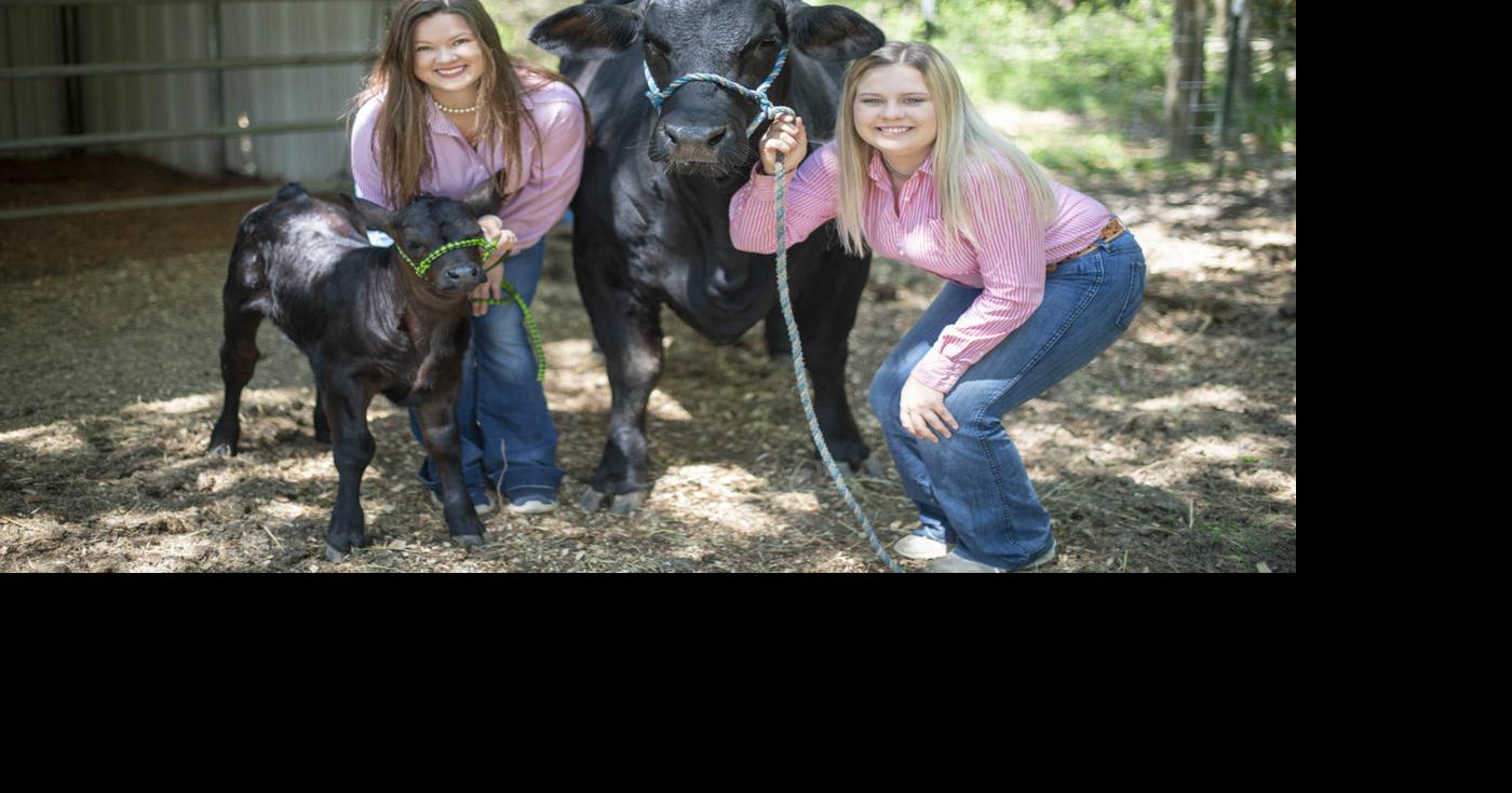 Sweeny High seniors hope for more FFA chances | News | thefacts.com
