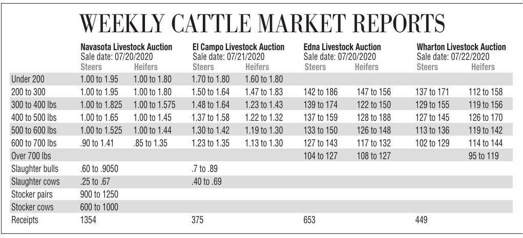 Cattle Chart for July 25, 2020 | News | thefacts.com
