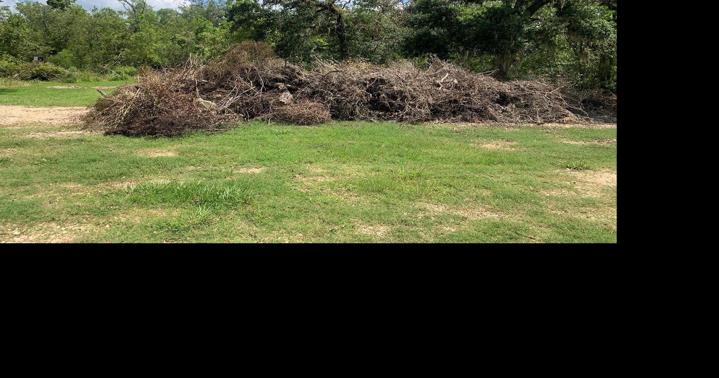 NATURE NOTES: Don't brush off brush piles | Brazos Living | thefacts.com