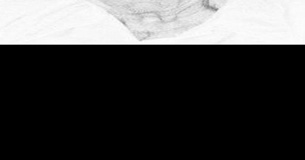 Earl Davis “Dave” Hesser | Obituaries | thefacts.com