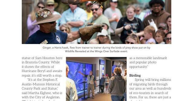 Page T25 | Brazos Monthly | thefacts.com