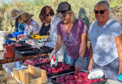 Prickly Pear Fest educates guests on the cactus | Features ...