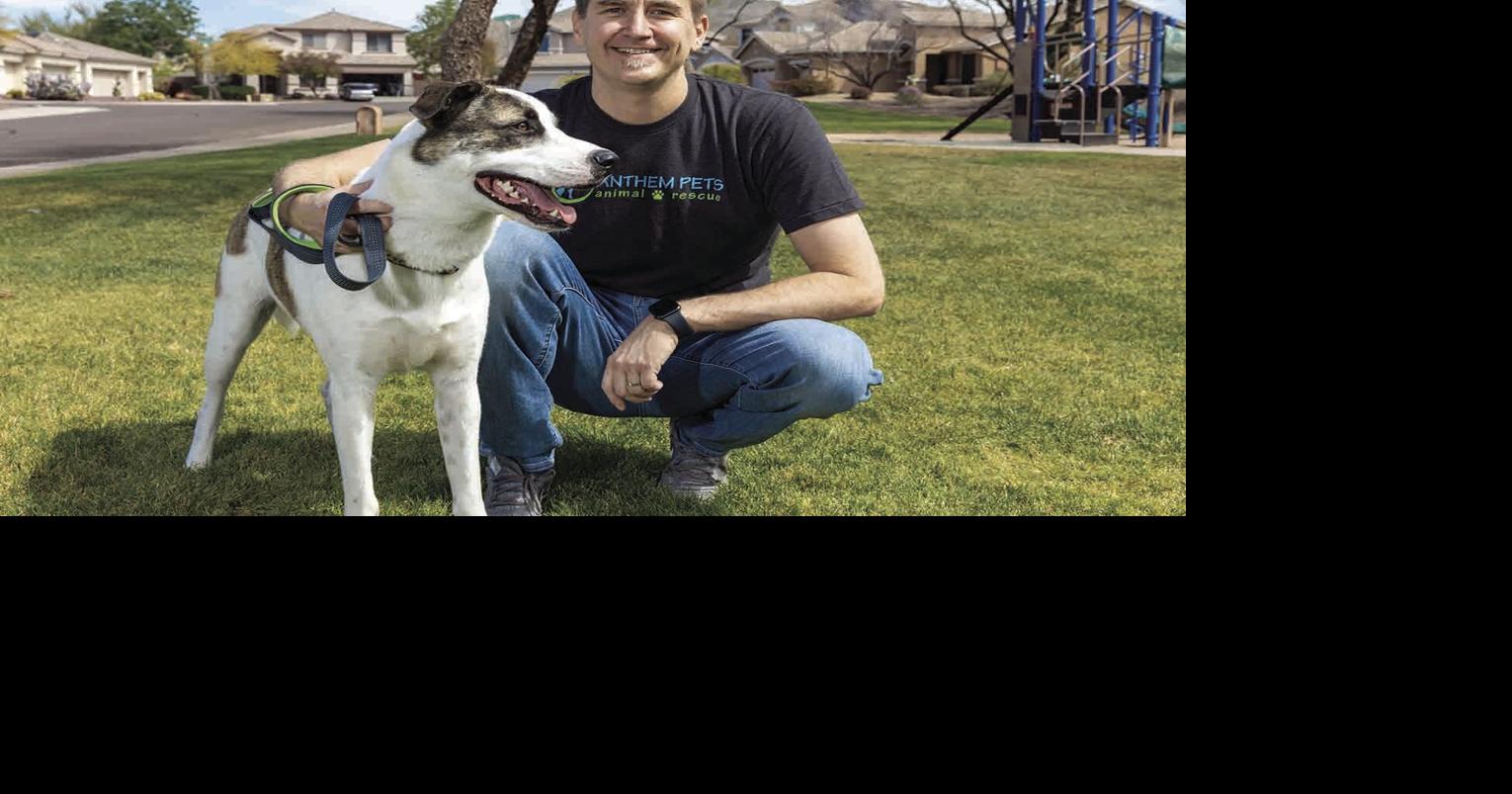 Anthem Pets to participate in Arizona Gives Day | City News ...