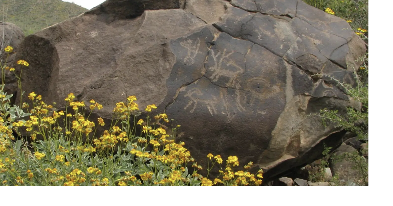 Museum, Kiwanis host archaeology expo | News | thefoothillsfocus.com