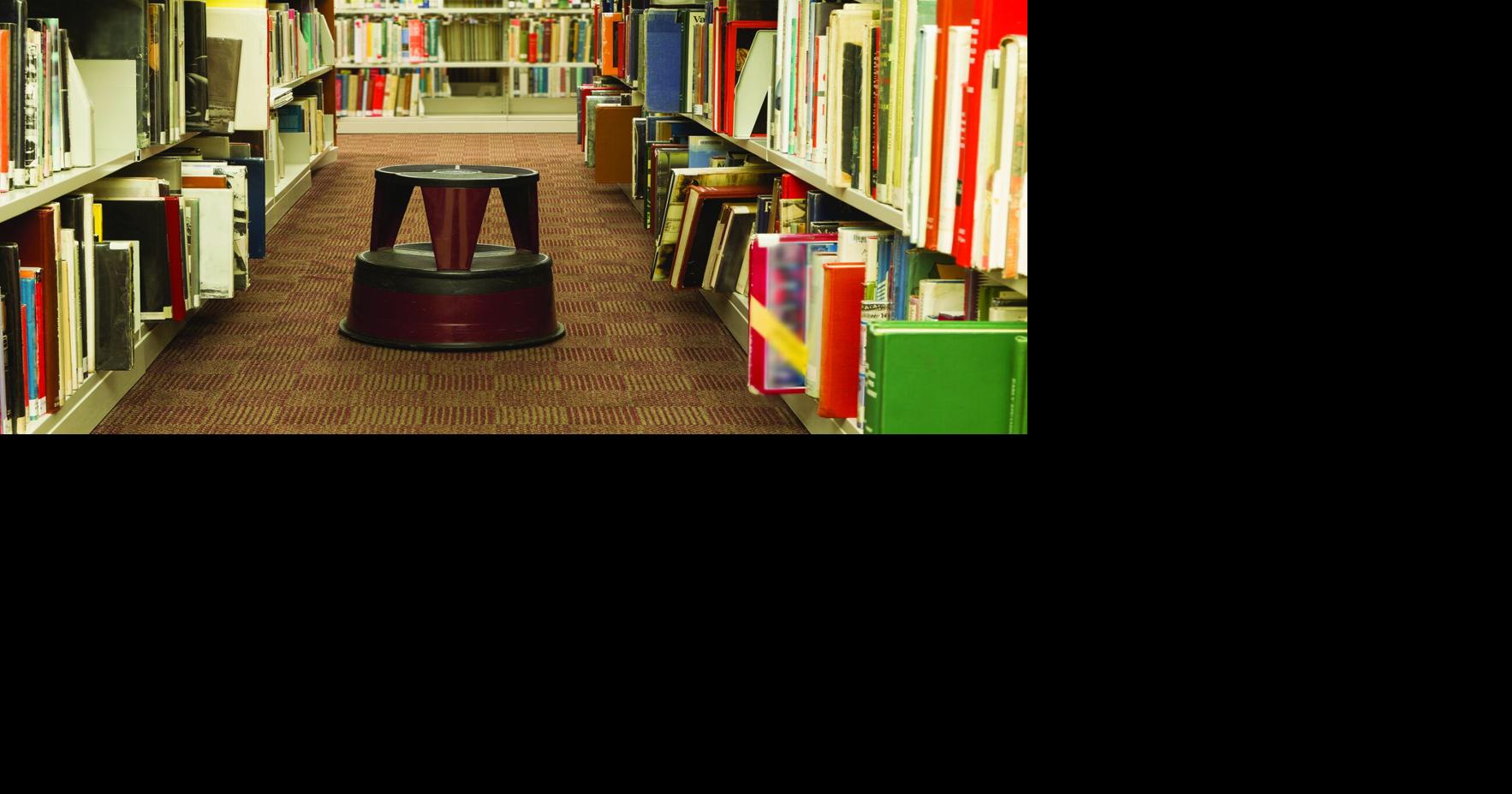 Strategic plan set for Phoenix libraries | City News ...
