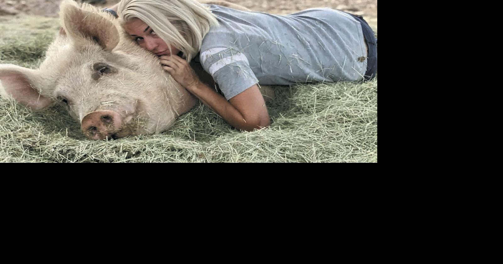 Rescue encourages community to save Ruby, the potbellied pig | City ...