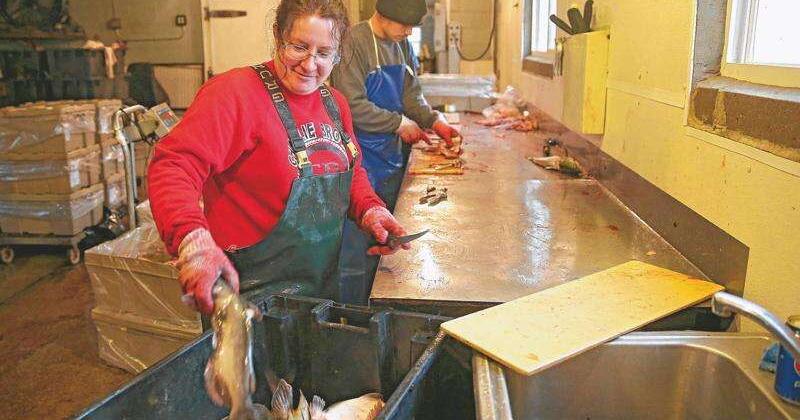 Mohn Fish Market near Harpers Ferry catches Mississippi's bounty ...