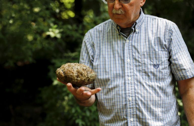 Find amazing geodes — legally — at Keokuk’s Geode Fest | Search the ...