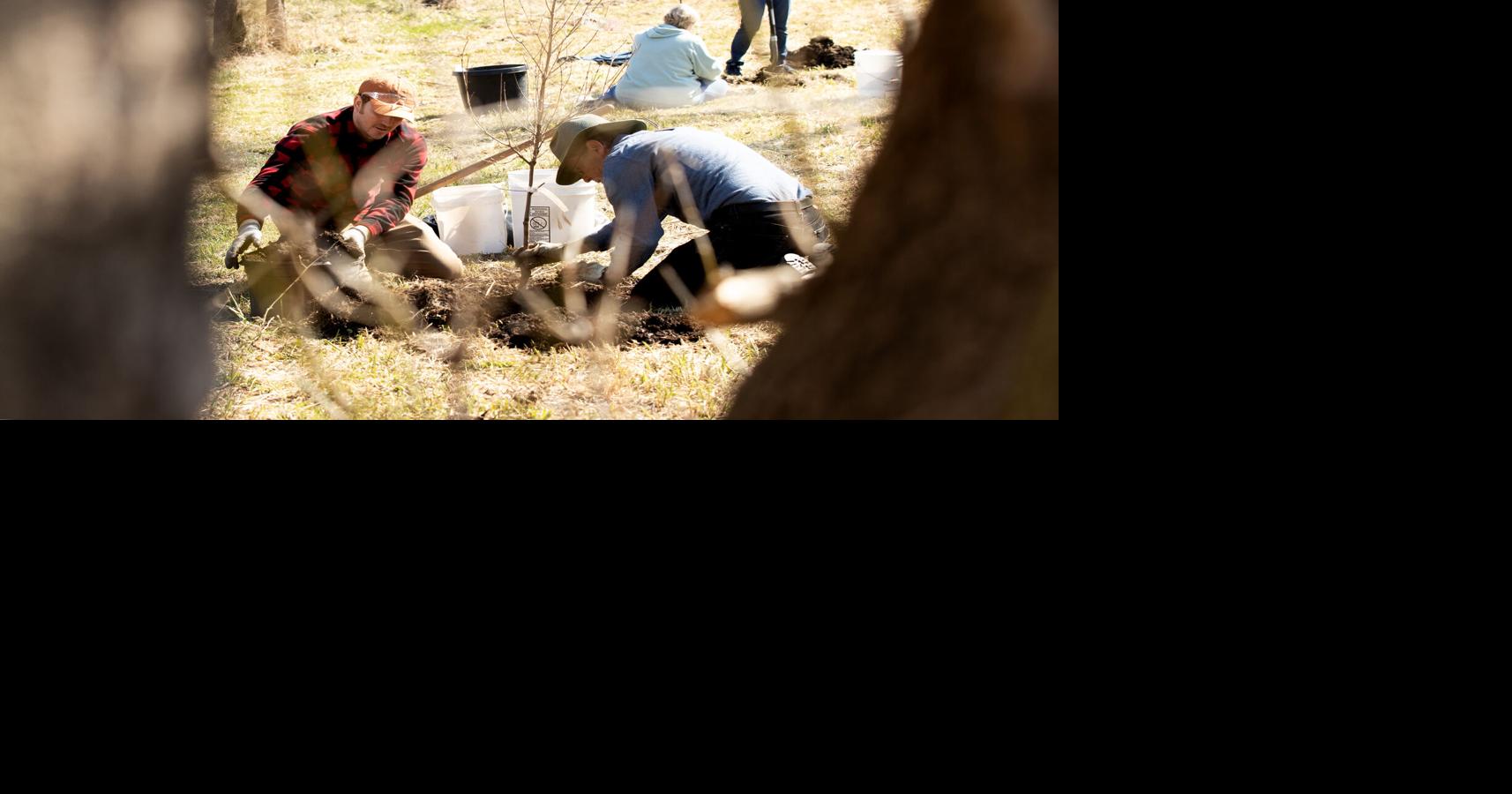 Photos: Prairiewoods Franciscan Spirituality Center plants 40 trees to ...
