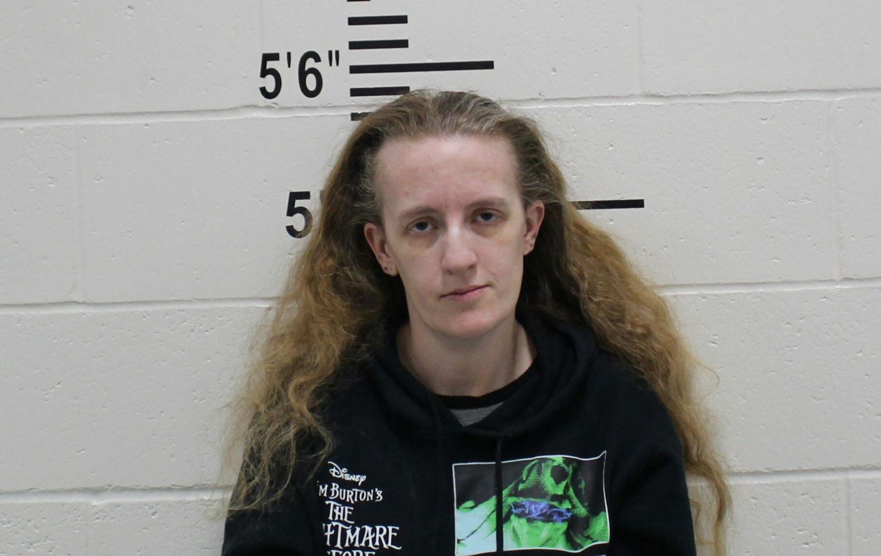 Decorah man charged Friday in tainted lasagna scheme | Crime and Courts ...