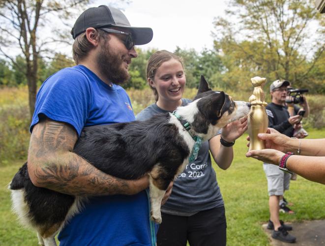 Corridor Corgi Racing | Gazette Photos | thegazette.com