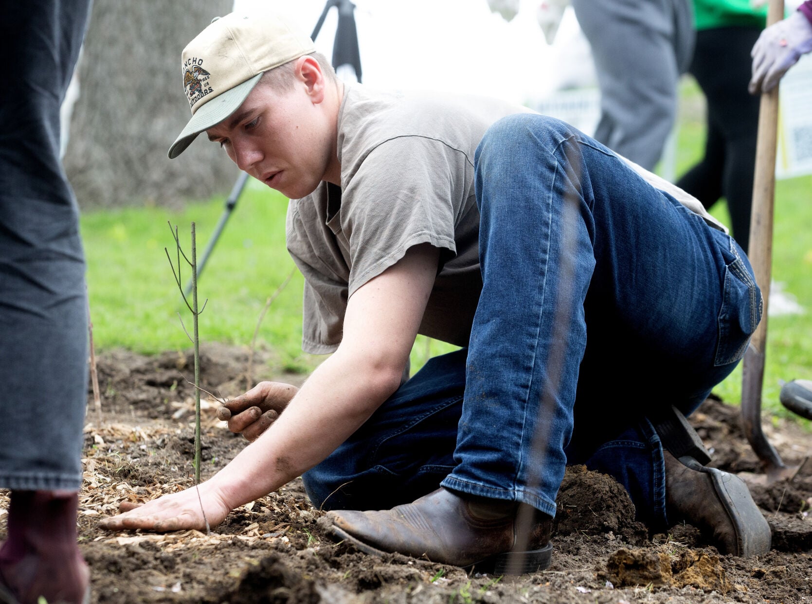 University of Iowa volunteers plant second Miyawaki forest on campus ...