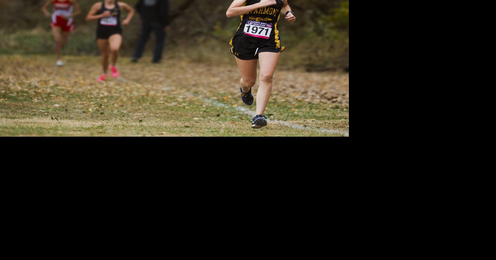 Hero for a day: Bianka Ronnebaum’s travel log helps send Maquoketa ...