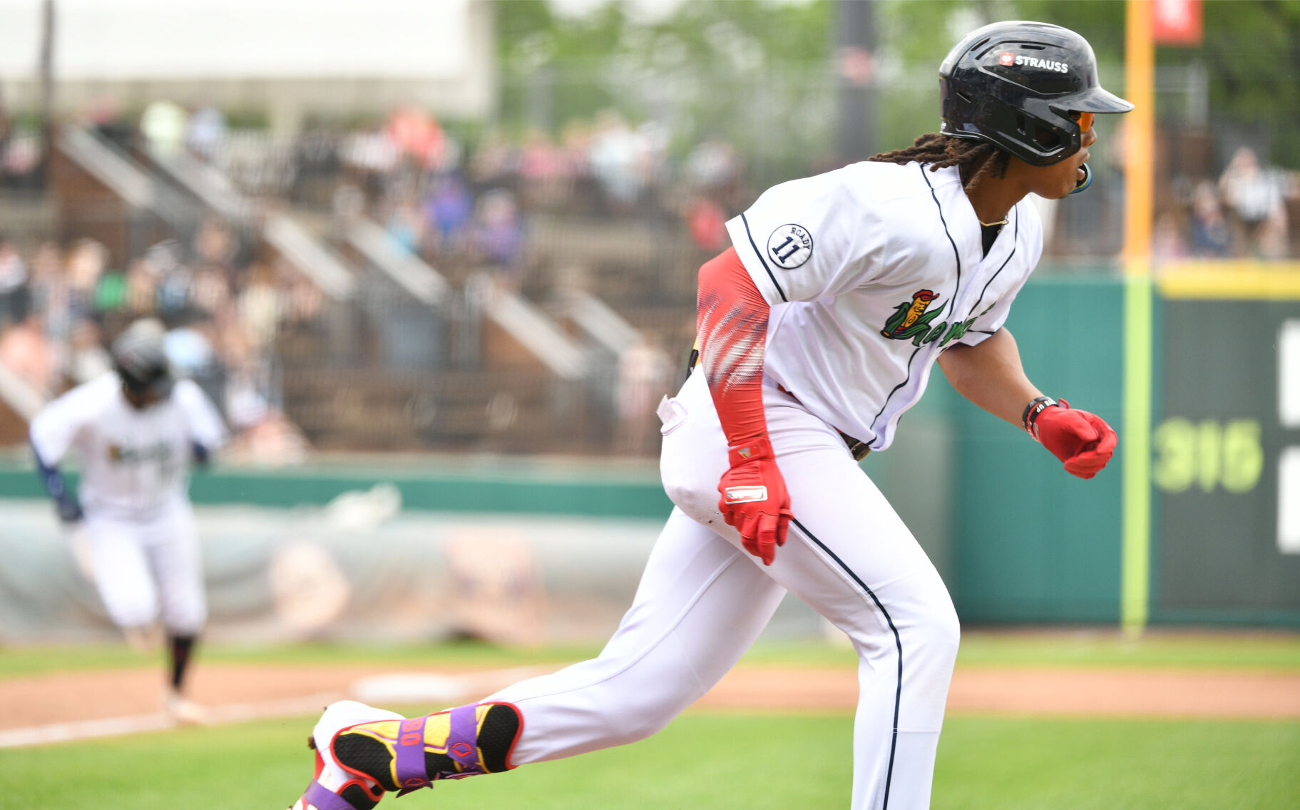 Yasser Mercedes returns as a top prospect for C.R. Kernels | Minor ...