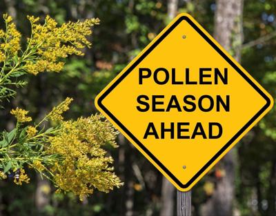 HAL'S HEADLINES: Allergy season hits Winnipeg all at once ...