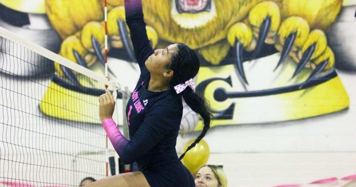 Friday Volleyball Roundup District Wins For Henderson Tatum West