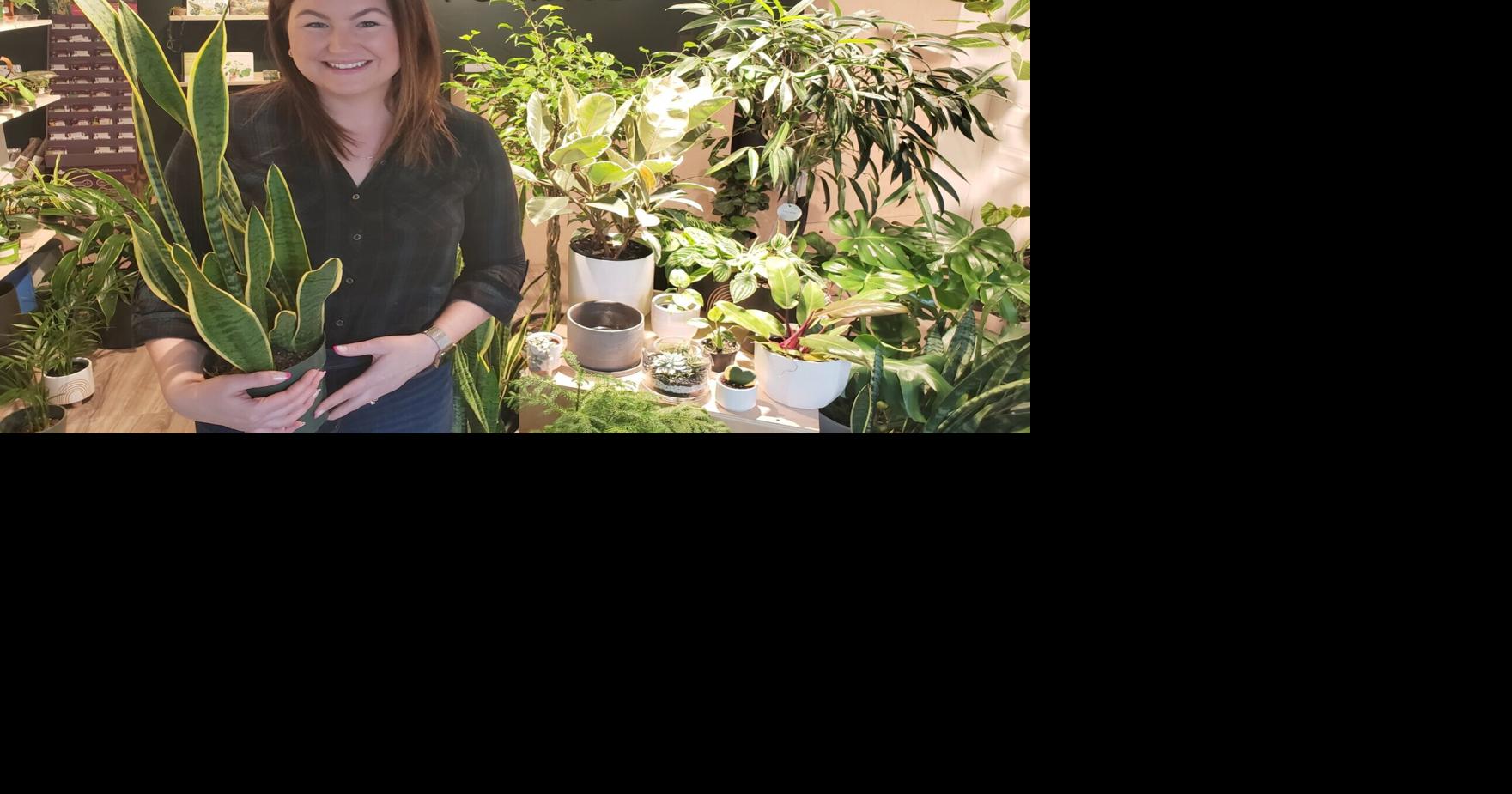 Georgetown business, Foliage, shares love of house plants