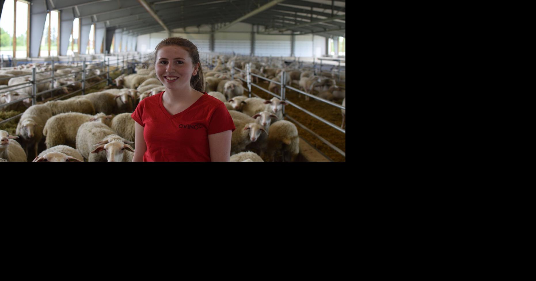 Acton farm the largest dairy sheep farm in Canada