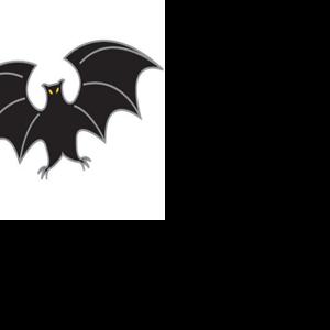 Things go batty at Crawford Lake