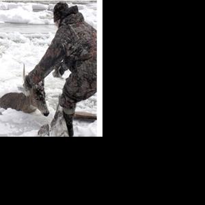 Brothers rescue stuck buck